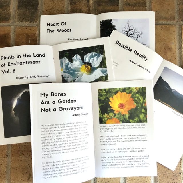 Aceae: A Family of Plant Tales • One Year Zine Subscription